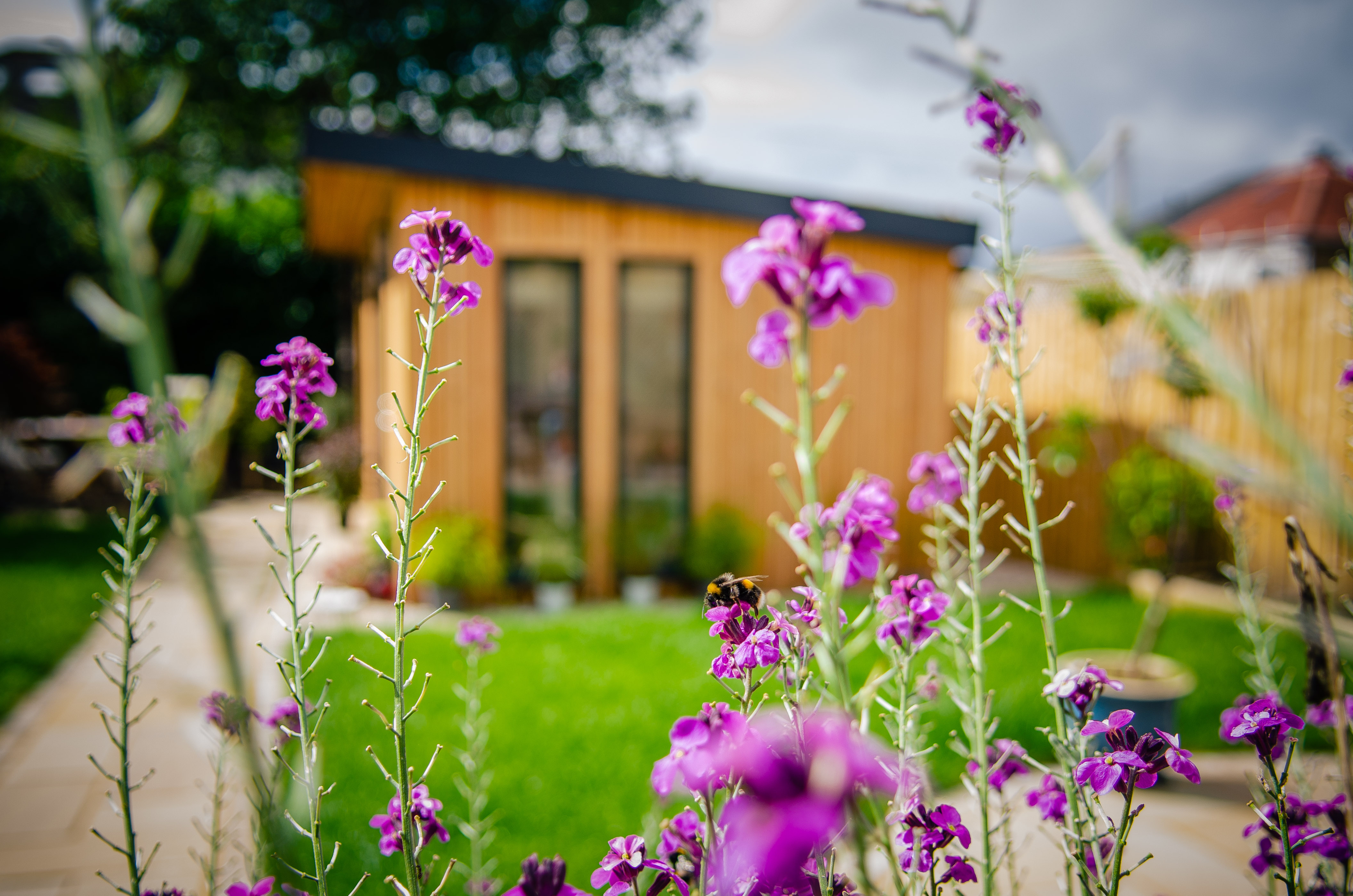 5 top tips for supporting biodiversity in your garden